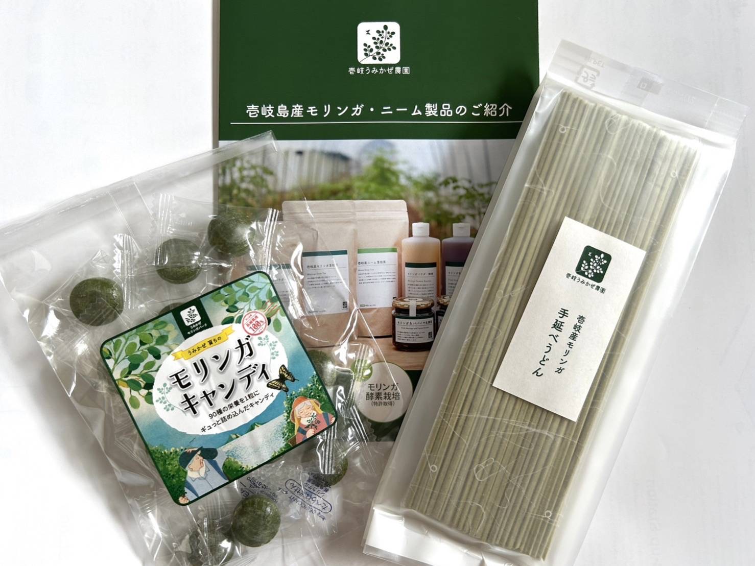 日本ストリクトカール連盟｜jsca